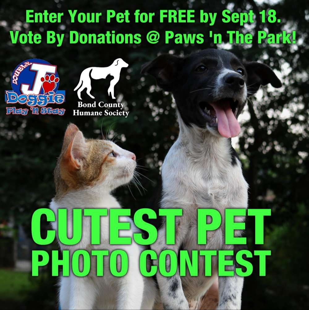 Bond County Humane Society - Greenville, Illinois